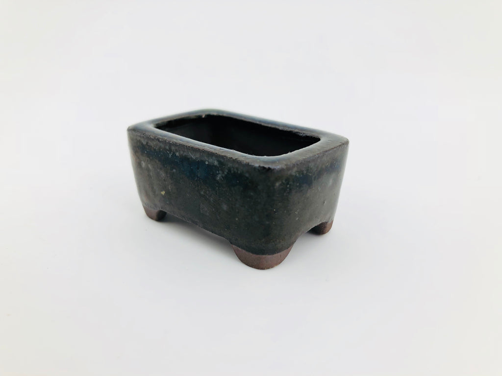 Mini Mini Bonsai Pot in Rounded Rectangle - 1 3/4